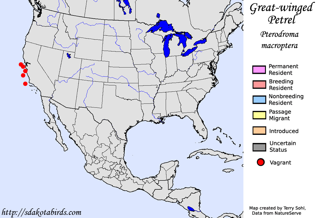 Great-winged Petrel - Species Range Map