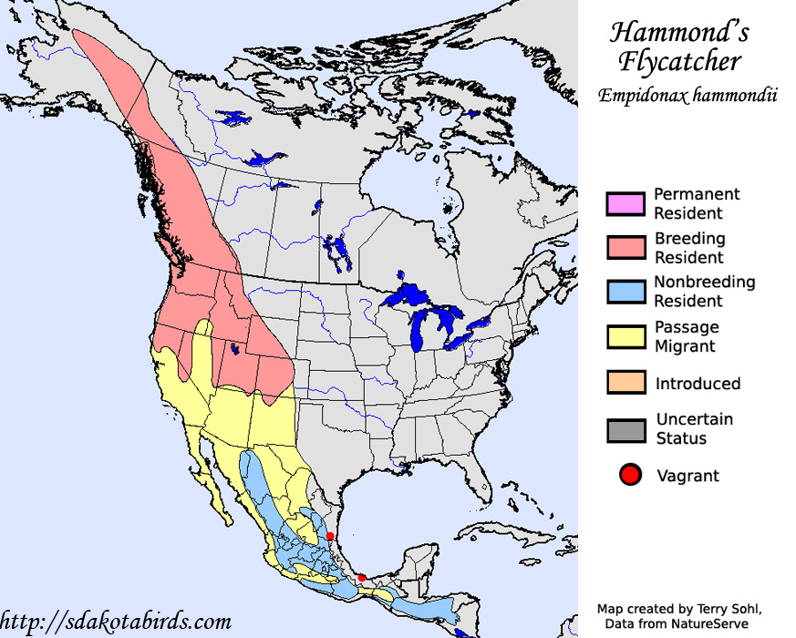 Hammond's Flycatcher - Species Range Map