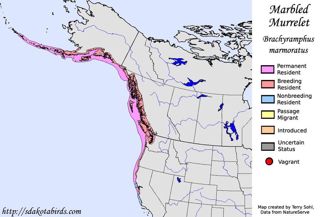 Marbled Murrelet - Species Range Map