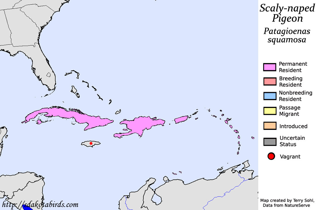 Scaly-naped Pigeon - Range Map