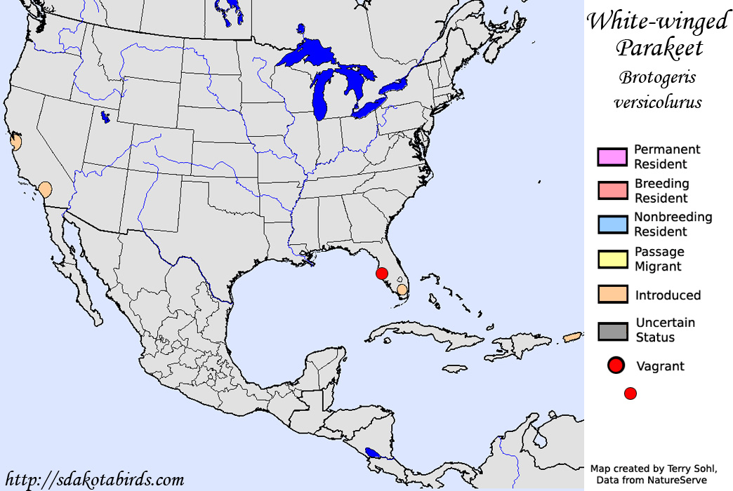White-winged Parakeet Range Map | South Dakota Birds and Birding