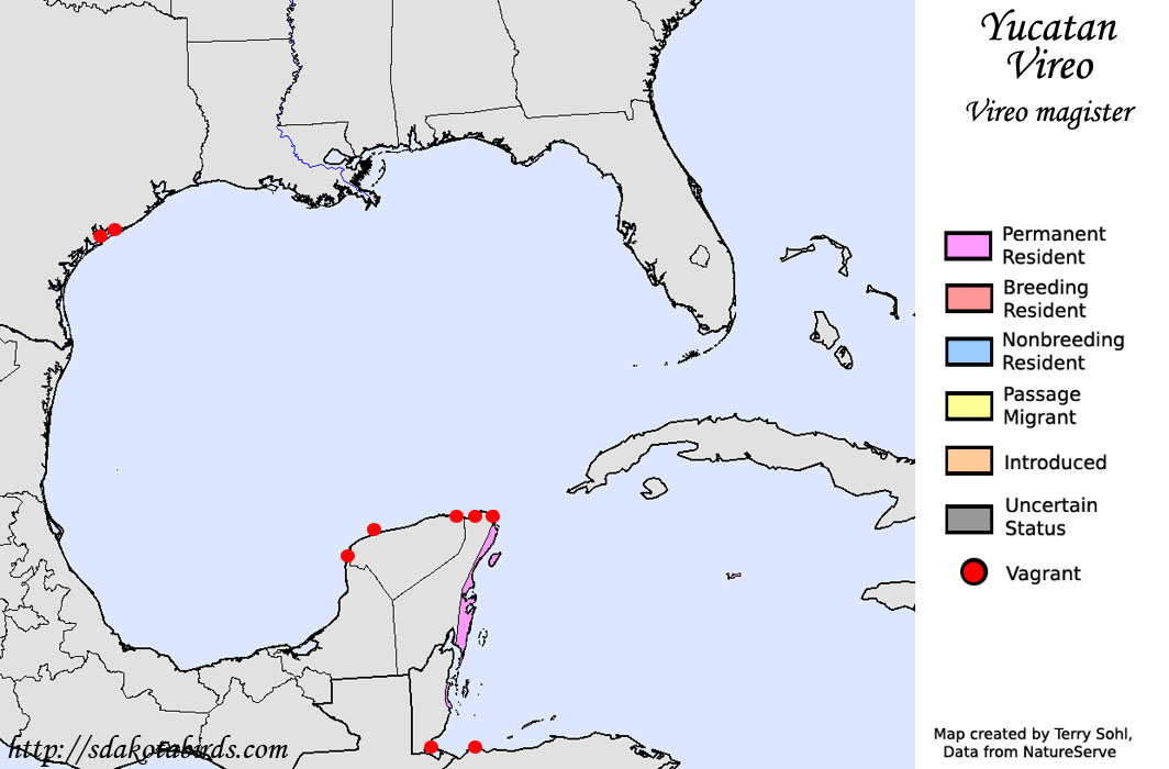 Yucatan Vireo - Species Range Map